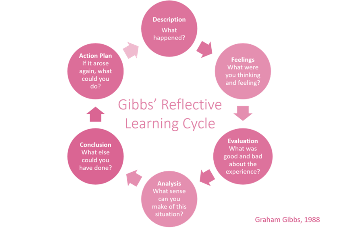 The Power of Reflection - Delta Zeta